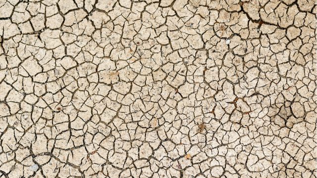 冬の乾燥は超危険!原因と3つの対策をご紹介【湿度管理の重要性】 Wellnest Home
